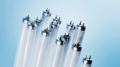 What's the Best LED Conversion Option for T12 Fluorescents? - BizReps